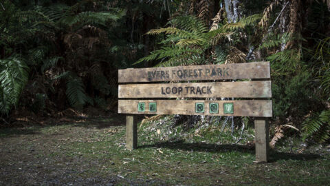 LOOP TRACK - Dark Sky Films